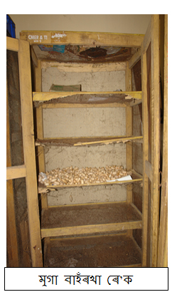 Processing of Muga Cocoons | Baksa, Assam