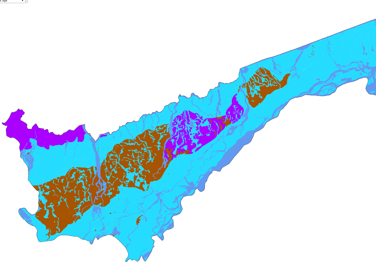Success Story | Dhemaji, Assam